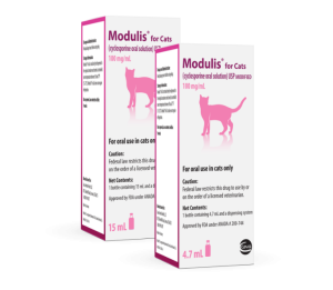 Modulis® (cyclosporine oral solution) USP MODIFIED